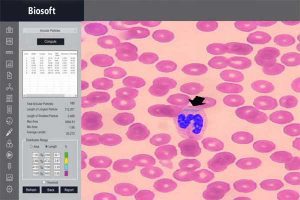 Microscope | Software | Camera - JB Microscope
