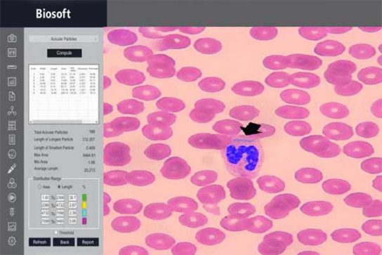 Microscope | Software | Camera - JB Microscope